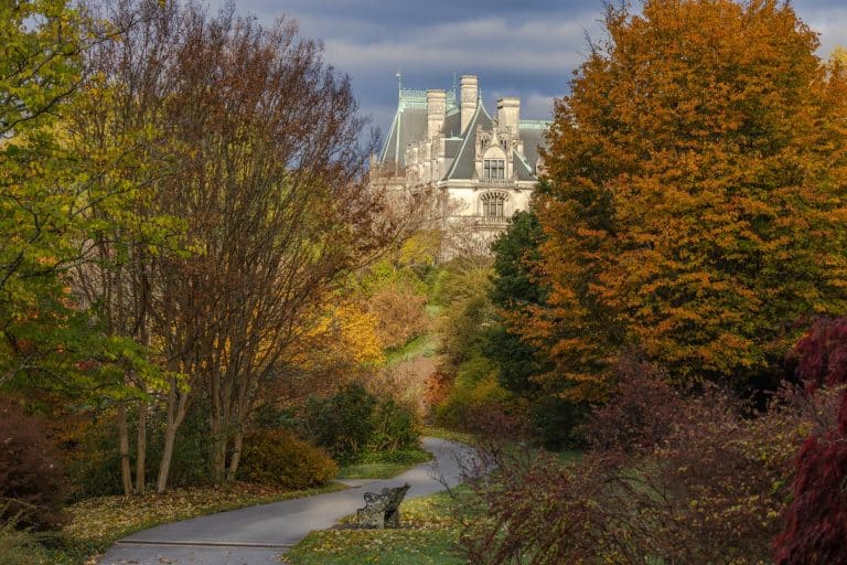 Asheville Fall Weekend: Plan Your Perfect Getaway